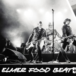 Tickets : Elmer Food Beat + Gogol Premier - Billetweb