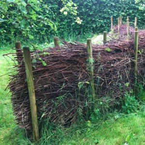 Tickets : Visioconférence : la fascine - Billetweb