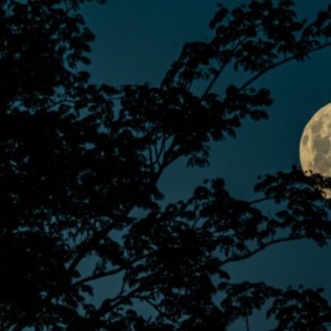 Tickets : Nocturne à la pleine Lune - Billetweb