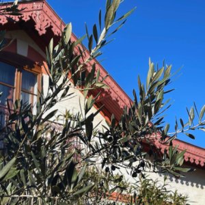 Tickets : Le Lunch des entrepreneurs - La Toulousaine et Gastro & Biz ...