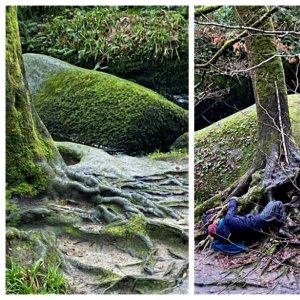 Tickets : STAGE MASTERCLASSE: "CYCLE RSVP &processus de création selon ...