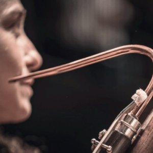 Tickets : Découverte du basson, un instrument dans le vent - Billetweb