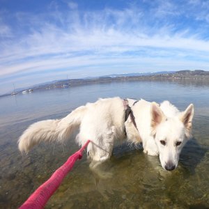 Tickets : Mieux comprendre pour remettre en confiance, avec Turid ...