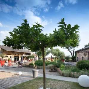 Tickets : COBC - Barbecue du Président - Billetweb