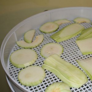 Tickets : atelier : comment sècher des plantes ,fruits, légumes au ...