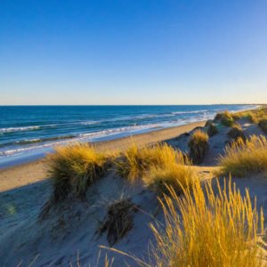 Tickets : Tout public : Sortie à Berck-sur-Mer - Billetweb