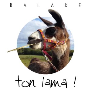 Tickets : Balade ton lama ! [Proposition annexe sans dimension contée ...