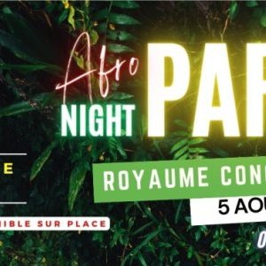 Tickets : AFRO NIGHT PARTY - Billetweb