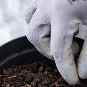 Tickets : Atelier/Formation "Compost, mode d'emploi" : Réaliser ses ...