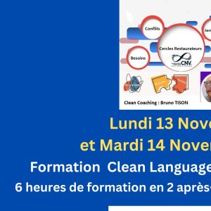 Tickets : Formation Clean Language et la Métaphore - Billetweb