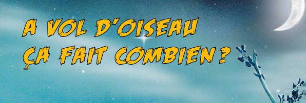 Tickets : A vol d'oiseau ça fait combien ? - Billetweb