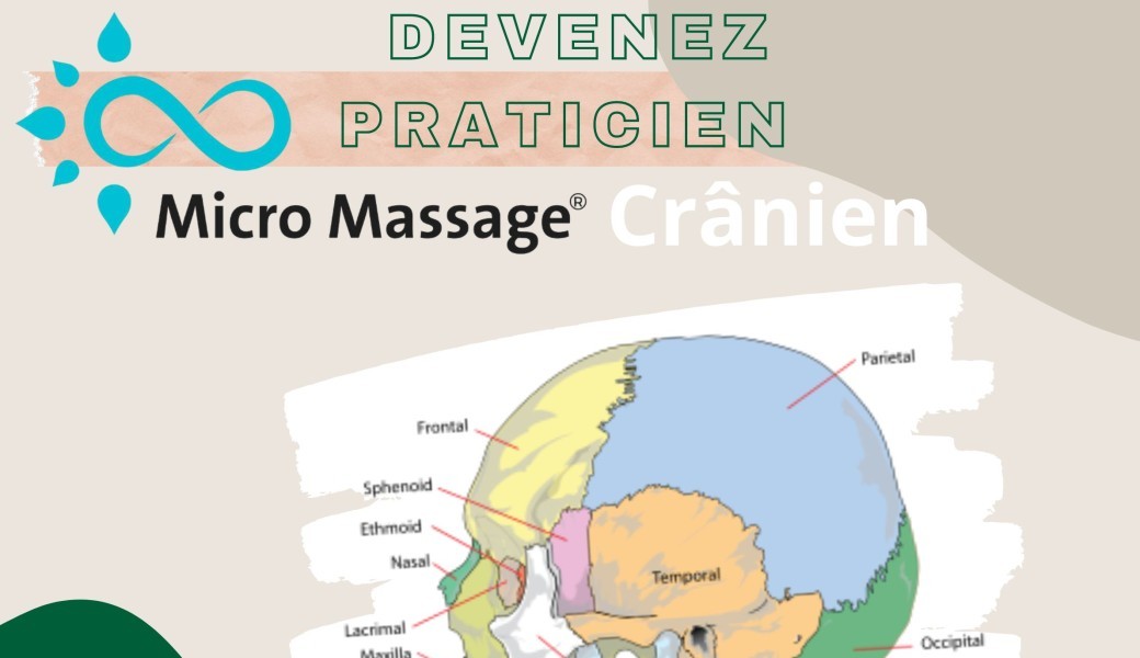 Tickets : Apprendre le Micro Massage Crânien® - Billetweb