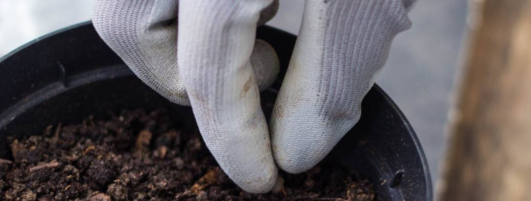 Tickets : Atelier/Formation "Compost, mode d'emploi" : Réaliser ses ...