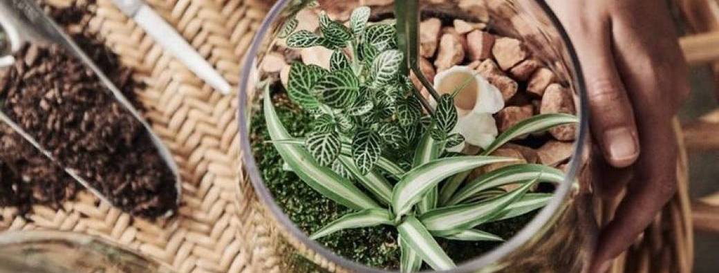 Tickets : Atelier TERRARIUM - Billetweb