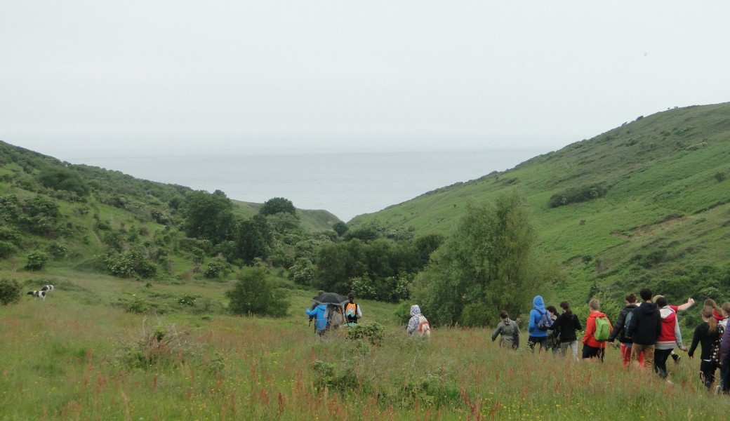 Tickets : Découvertes automnales à Antifer - Billetweb