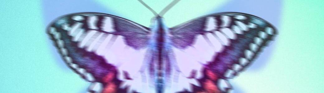 Tickets : L'effet papillon 2.0 - Billetweb