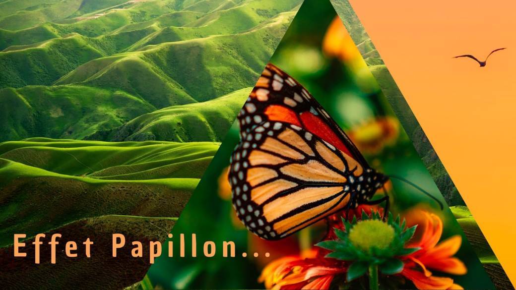 Tickets : Effet Papillon - Billetweb
