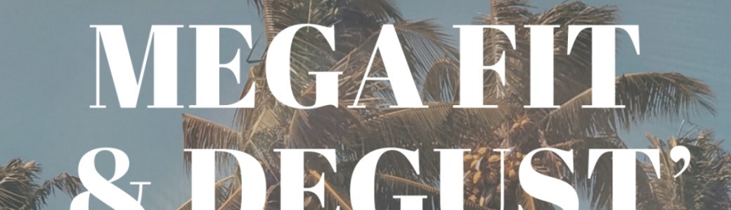 Tickets : MEGA FIT - MARSEILLE - Billetweb