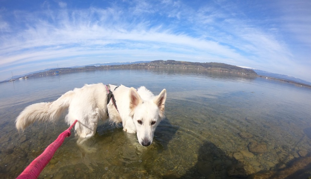 Tickets : Mieux comprendre pour remettre en confiance, avec Turid ...