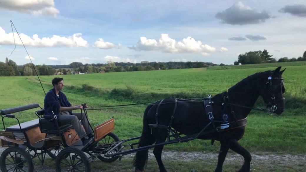 Tickets : Promenade en calèche - Billetweb