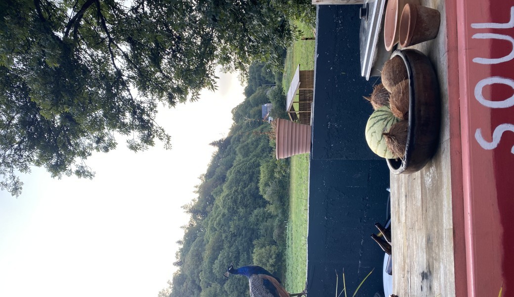 Tickets : Renaître - Billetweb