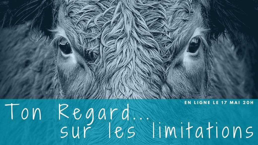 Tickets : Ton regard sur les limitations - Billetweb