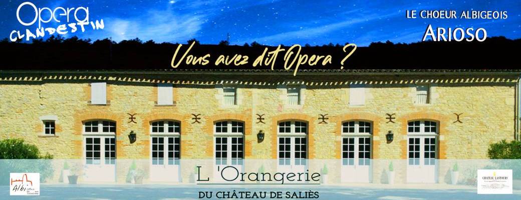 Tickets : Vous avez dit Opéra ? - Billetweb